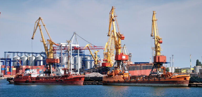 A Dynamic Approach to Dry Bulk - Veson Nautical