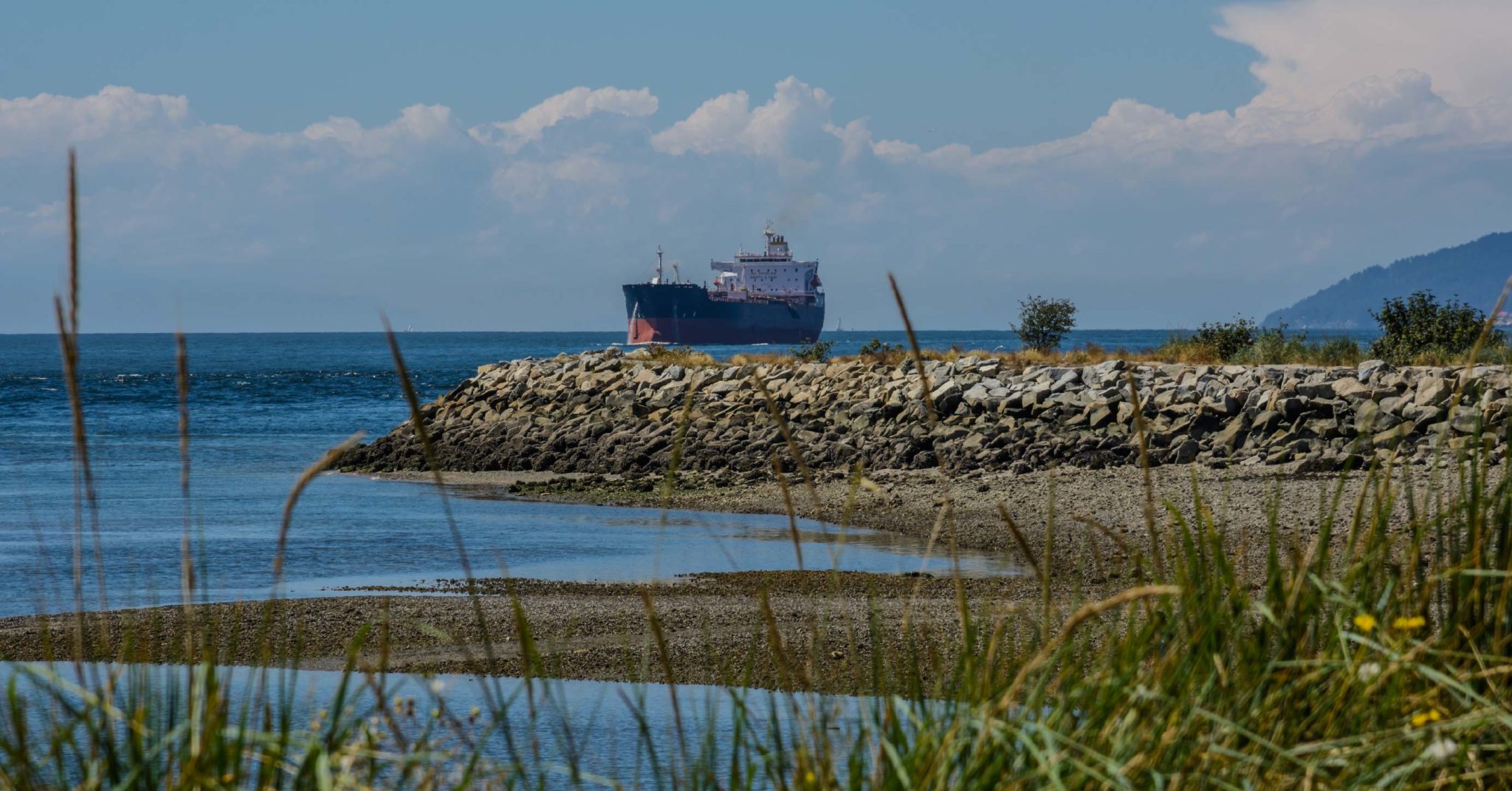 Sustainability Capabilities in The Veson IMOS Platform Today - Veson ...