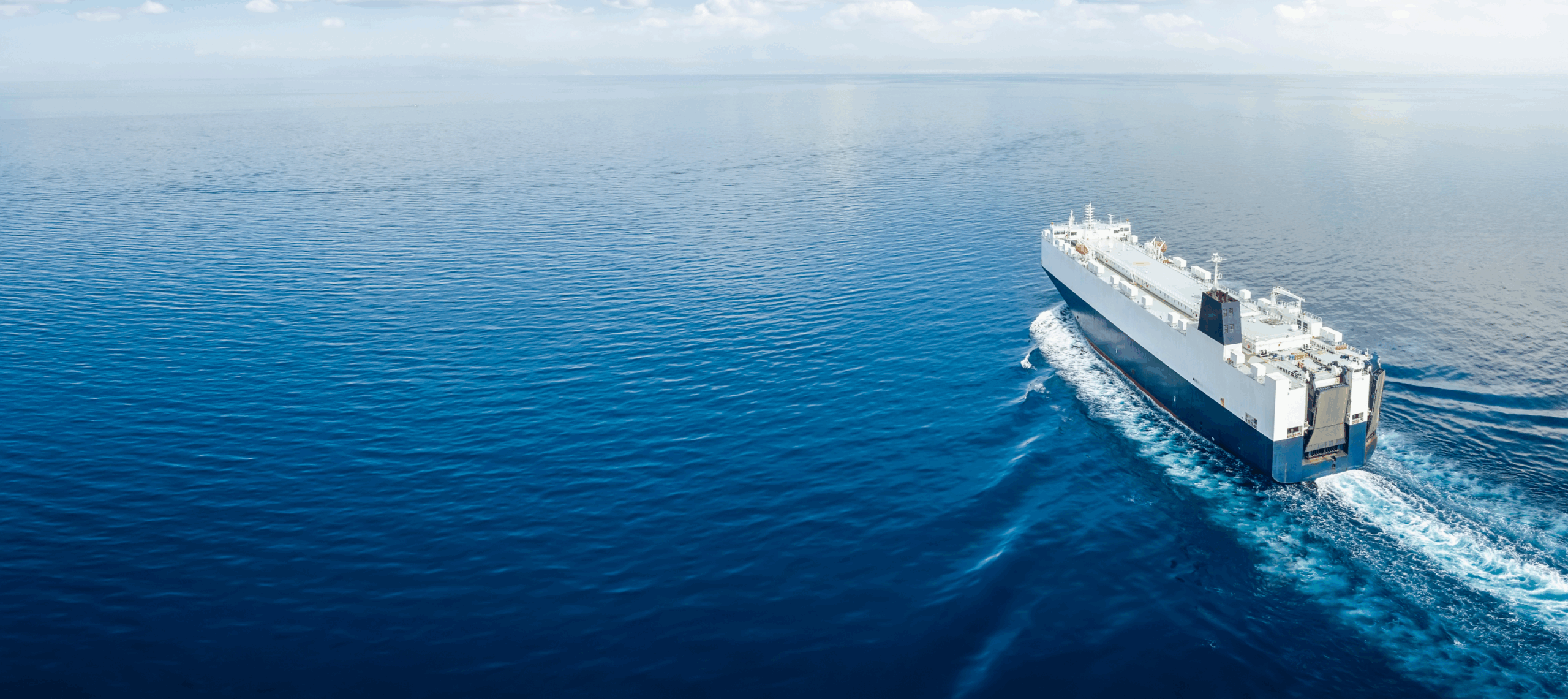 Bears Starting to Roar in the Car Carrier Market - Veson Nautical