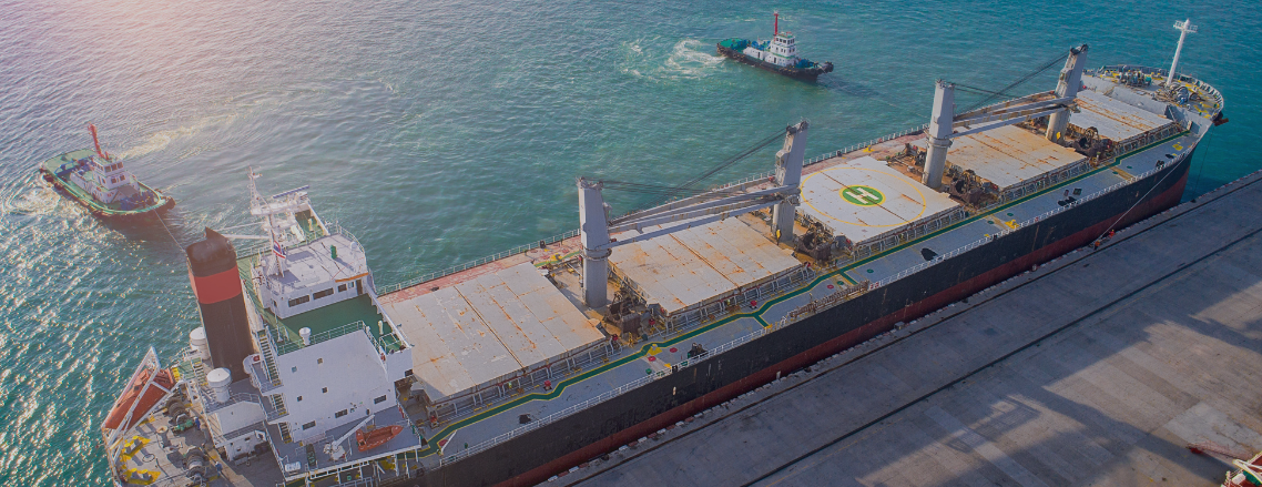 Potential US Port Fees May Disrupt Dry Bulk Trade and Vessel ...